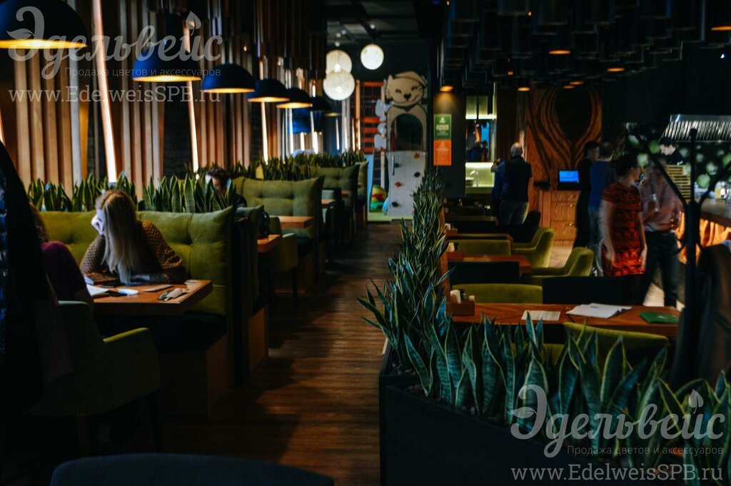 Çevre peyzaj hizmetleri Edelweiss, Saint‑Petersburg, foto