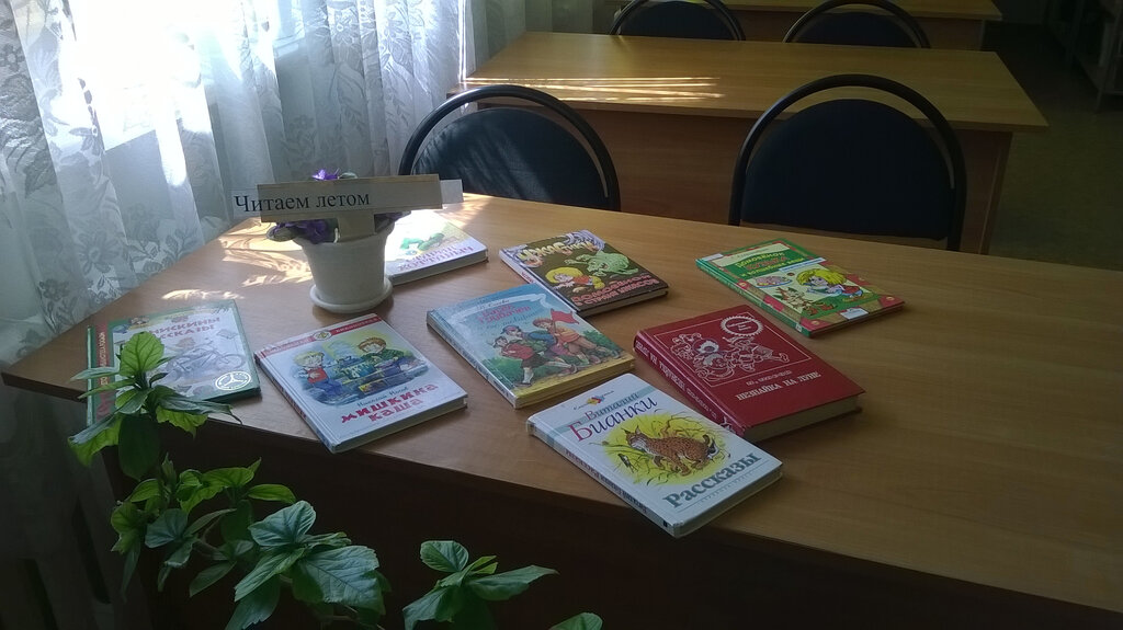 Kütüphaneler Библиотека пос. Октябрьского Г. О. Похвистнево, Samarskaya oblastı, foto