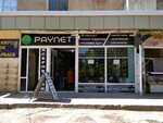 Paynet (Buyuk Ipak Yuli Street No:99), ödeme terminali  Semerkant'tan