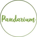 Pandarium Chinese language school (KIMa Avenue No:6, Saint Petersburg), yabancı dil kursları  Saint‑Petersburg'dan