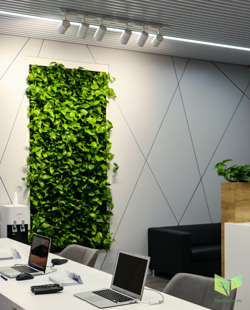 Çevre peyzaj hizmetleri Fitoctena - green walls, Saint‑Petersburg, foto