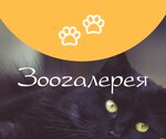 Zoogalereya (ulitsa Khimikov No:4), petshop  Omsk'tan
