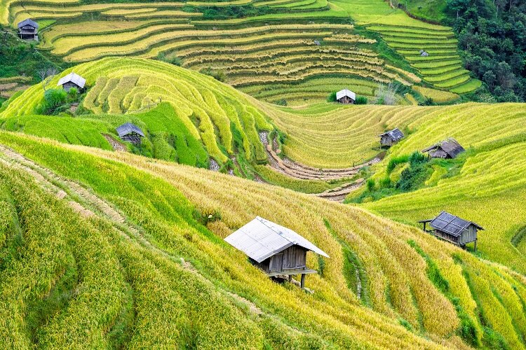 Pasaport ve vize işlemleri Visanet, Krasnoyarski krayı, foto