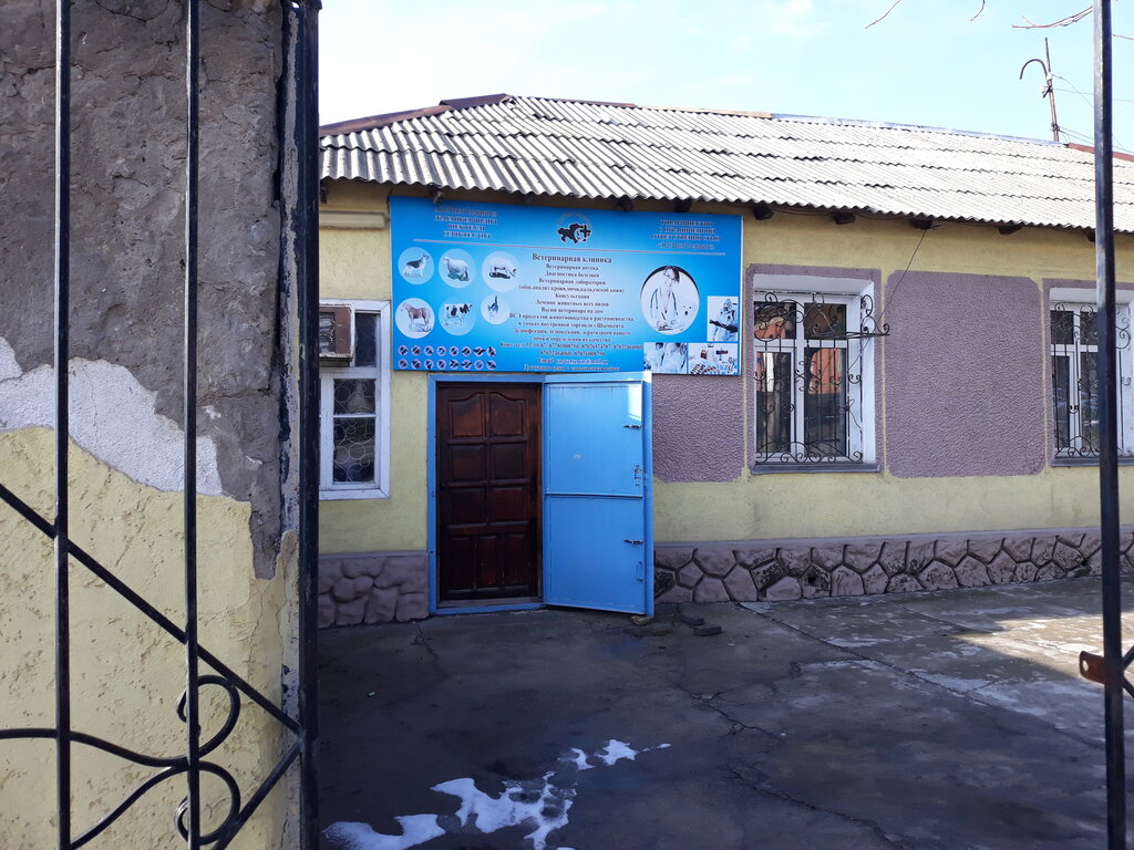 Veteriner klinikleri ЮгВетСервис, Çimkent (Şımkent), foto