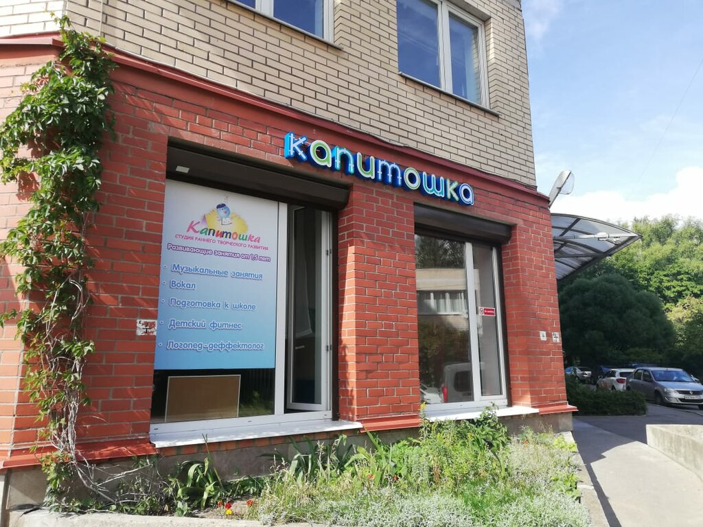 Çocuk ve gençlik merkezleri Детский семейный клуб Капитошка, Saint‑Petersburg, foto