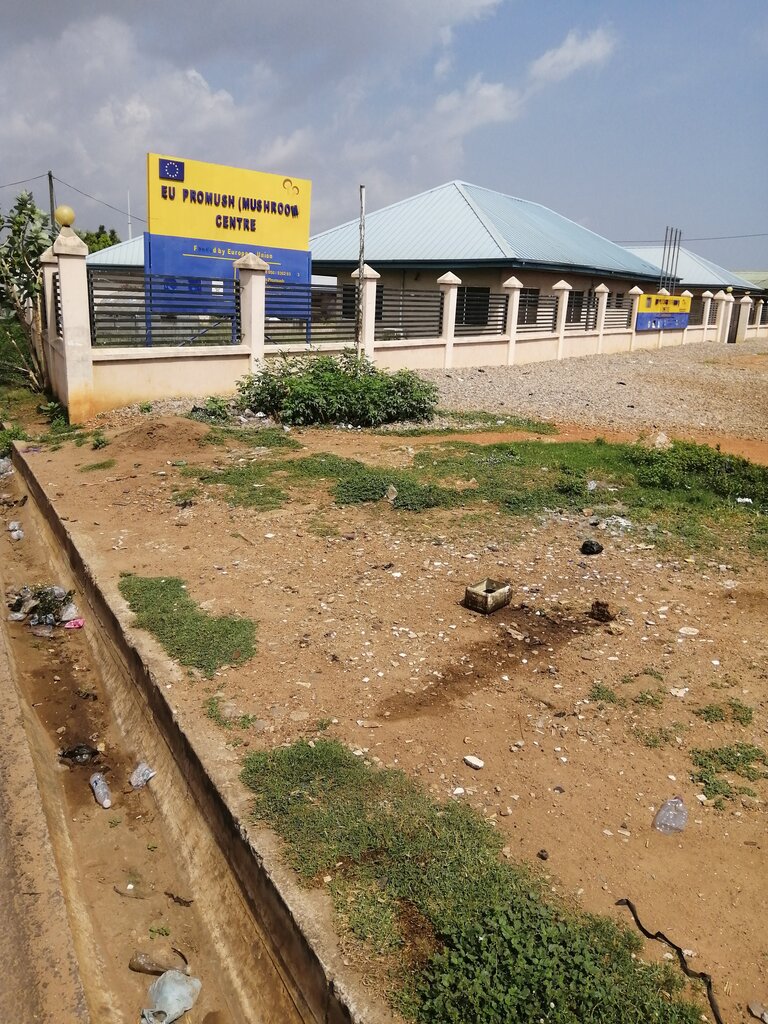 Tarım firmaları Eu Promush, Dünya, foto