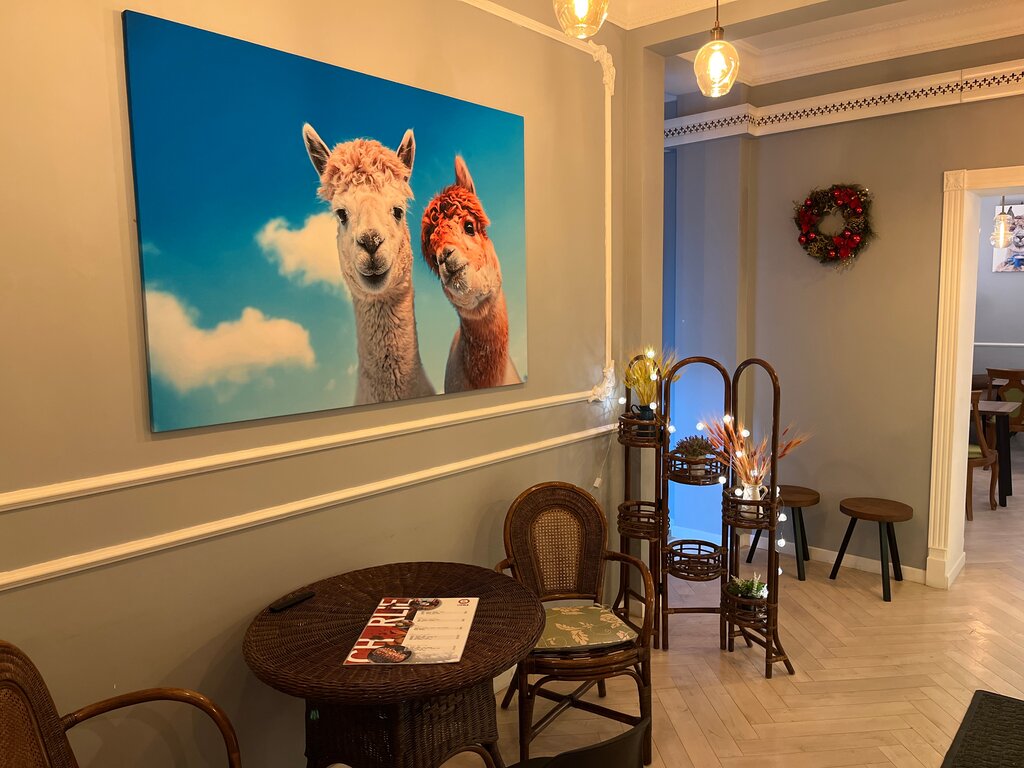 Kahve dükkanları Charlie, Almatı, foto