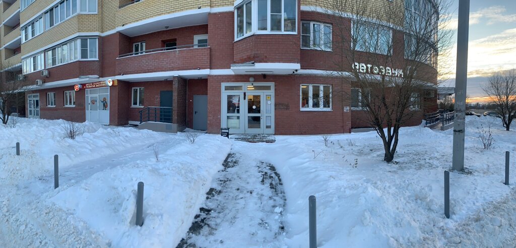 Oto ses sistemleri Performance Sound, Domodedovo, foto