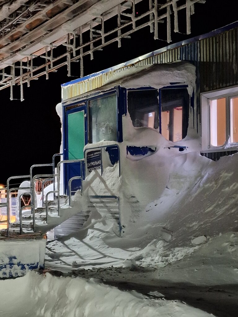 Uçak kargo Норильск Карго, Krasnoyarski krayı, foto