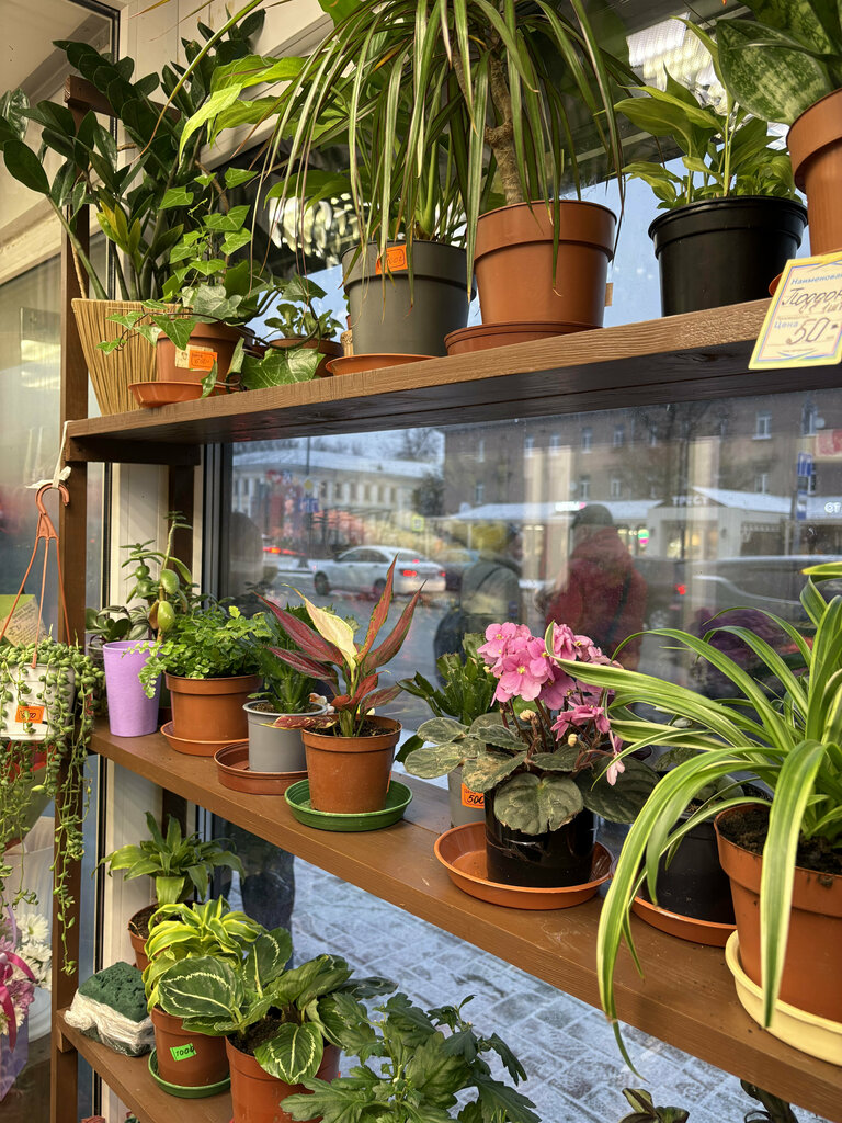 Zvetochny mir, flower shop, Velikiy Novgorod, Torgovaya Side District ...