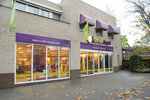 Gordijnshop (Het Hoekje No:39, Hollandscheveld), mobilya mağazaları  Drenthe'den