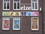 Dierenkliniek Elze (Lasondersingel No:186), veteriner klinikleri  Enschede'den