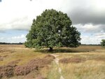Grafverzorging De Oude Eik (Willem de Zwijgerweg No:79, Geldermalsen), cenaze hizmetleri  Gelderland'dan