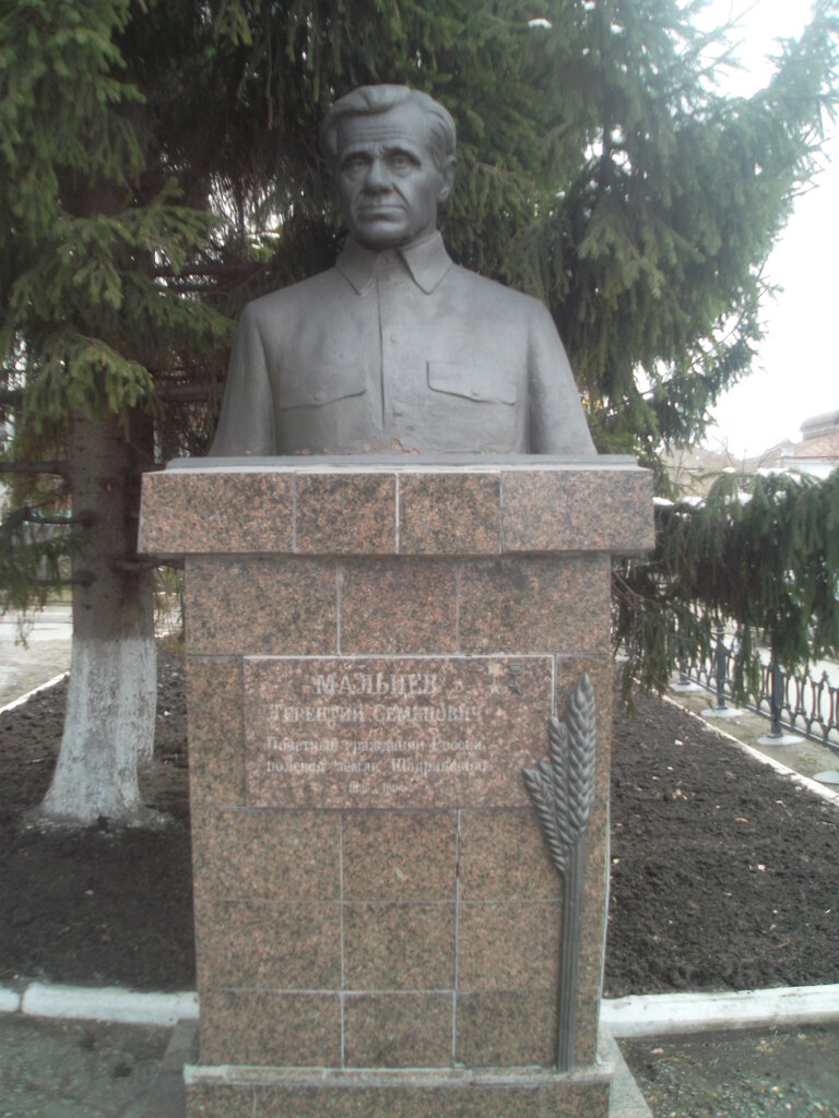 Anıt, heykel Т.С. Мальцев, Şadrinsk, foto