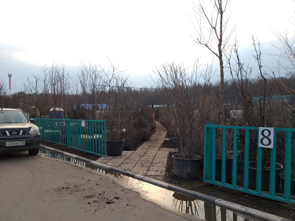 Sera ve bahçe ürünleri Sirenevy sad, Tulskaya oblastı, foto