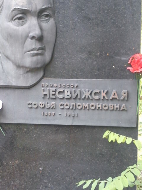 Anıt, heykel Профессор С.С. Несвижская, Minskaya oblastı, foto