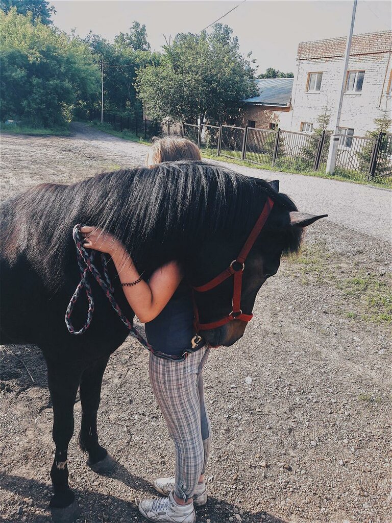 Sivil toplum kuruluşları Конный дворик у Садко, Ufa, foto