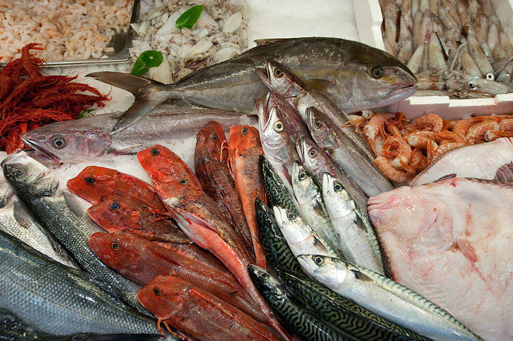 Balık çiftçiliği ve toptancıları Marblu Iliopescaprato, , foto