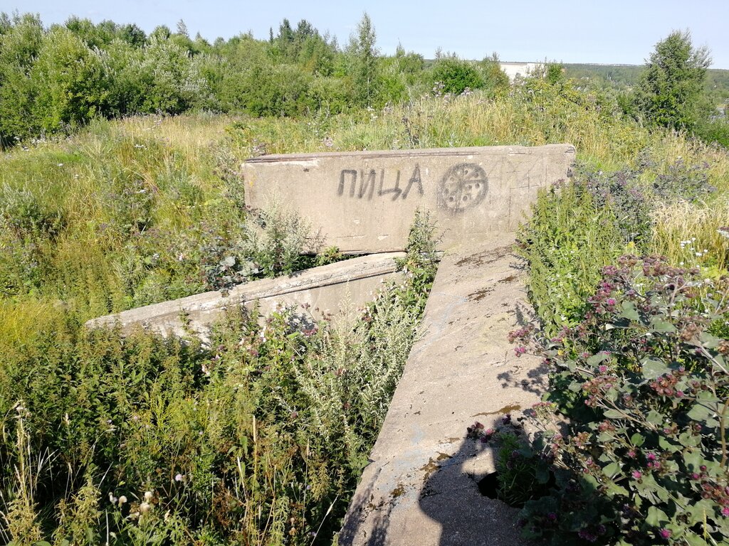 Turistik yerler Остатки немецкой артбатареи, Peterhof, foto