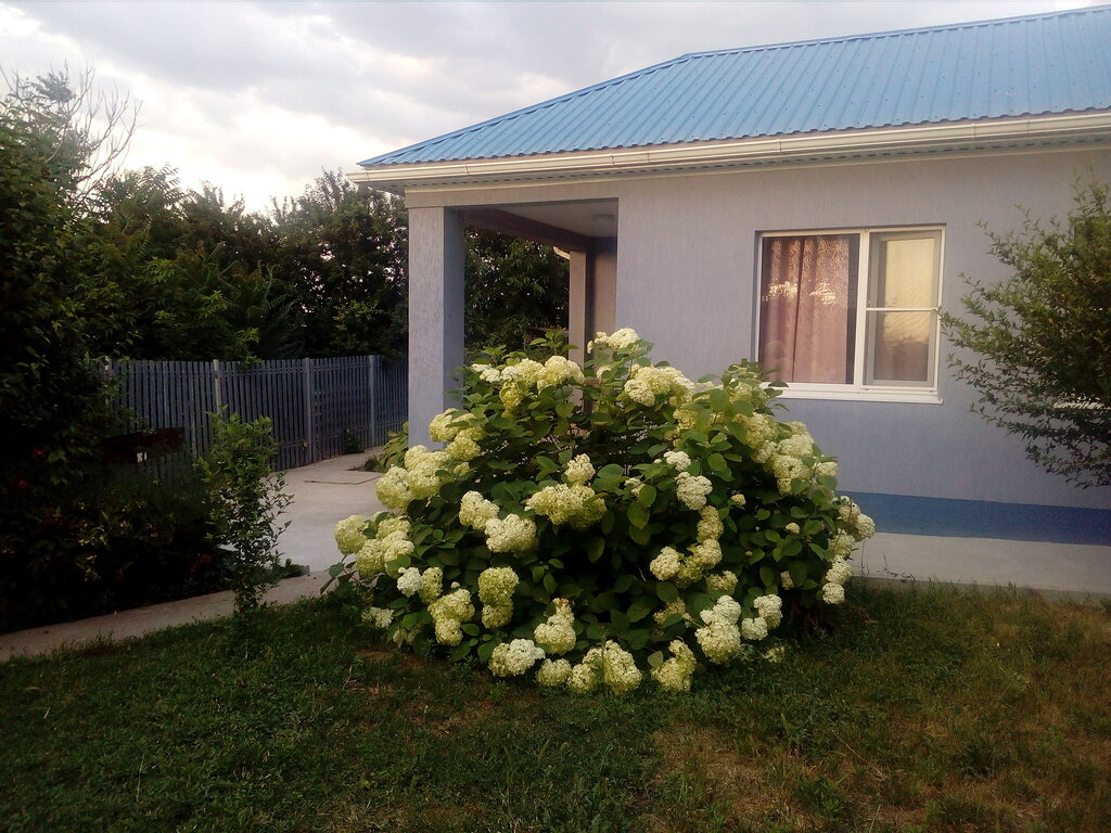 Otel Гостевой дом, Krasnodarski krayı, foto