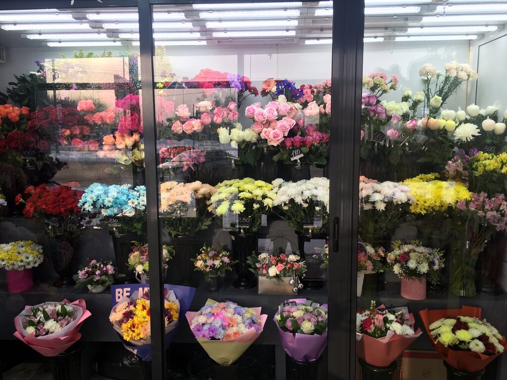 Çiçekçiler Fan flowers, Angarsk, foto