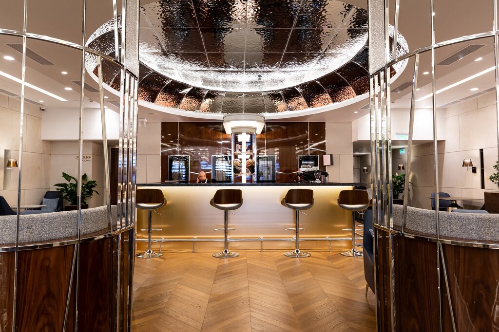 Havaalanı vip salonu VIP-lounge, Terminal C, Moskova ve Moskovskaya oblastı, foto