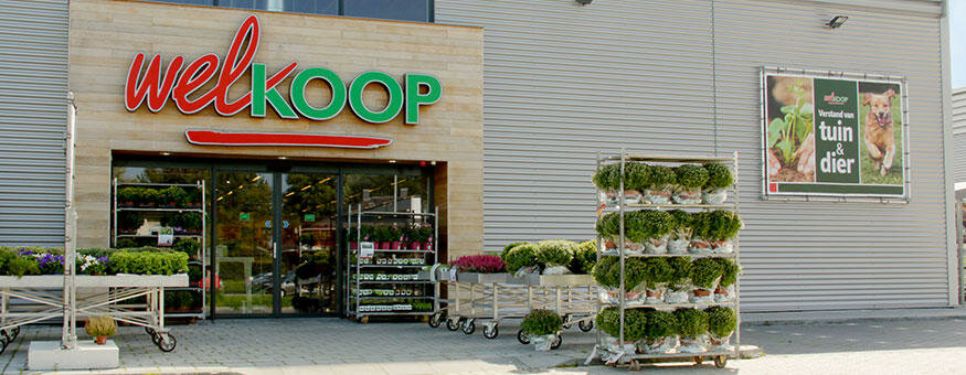 Petshop Welkoop Lemmer, Friesland, foto