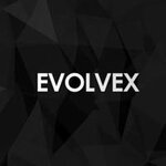 Evolvex, Tehnotorg (Avangardnaya Street No:24), bilgisayar teknik servisleri  Izhevsk'ten
