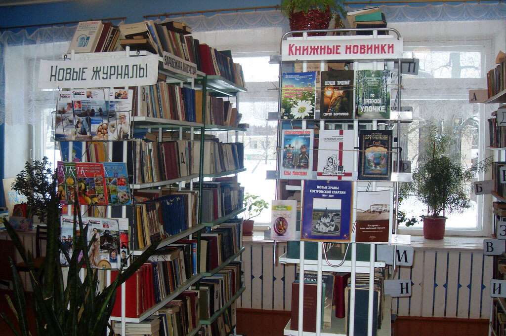 Kütüphaneler Василевская сельская библиотека-филиал № 9, Kostromskaya oblastı, foto