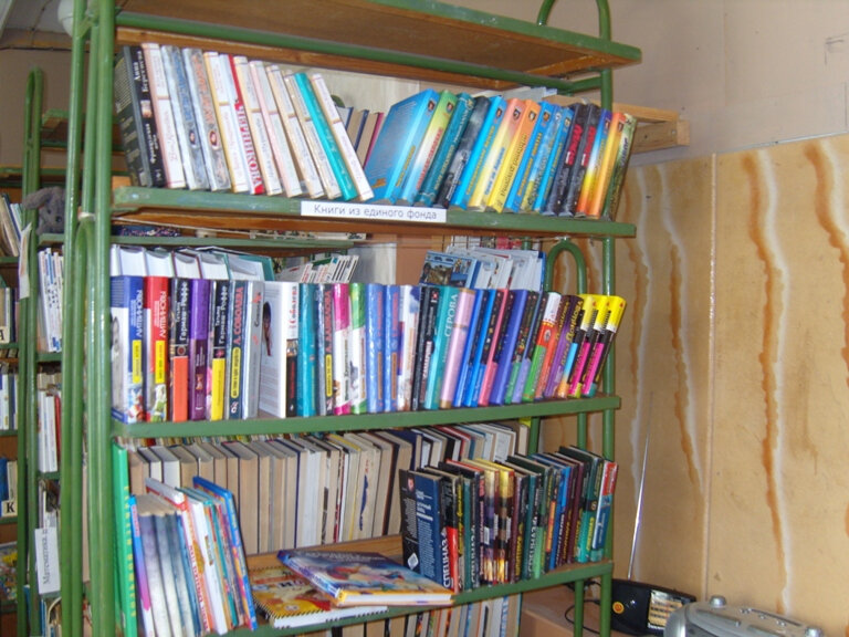 Kütüphaneler Креневская сельская библиотека, Kostromskaya oblastı, foto