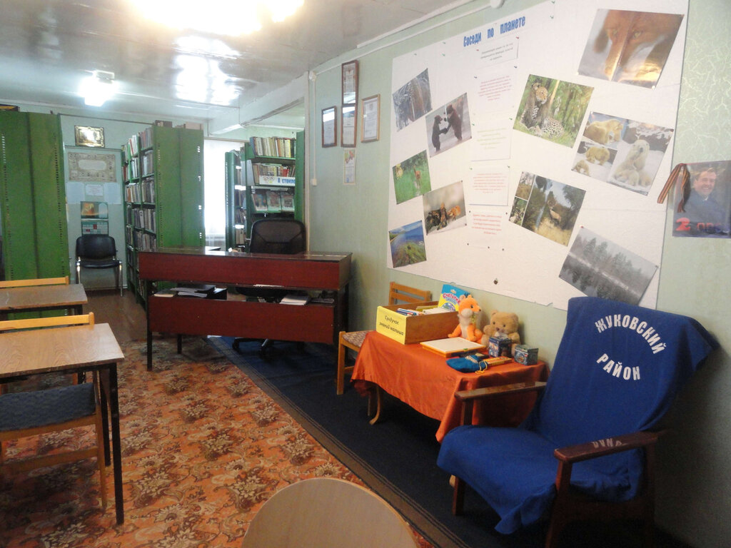 Kütüphaneler Тростьевская сельская библиотека, Kalujskaya oblastı, foto