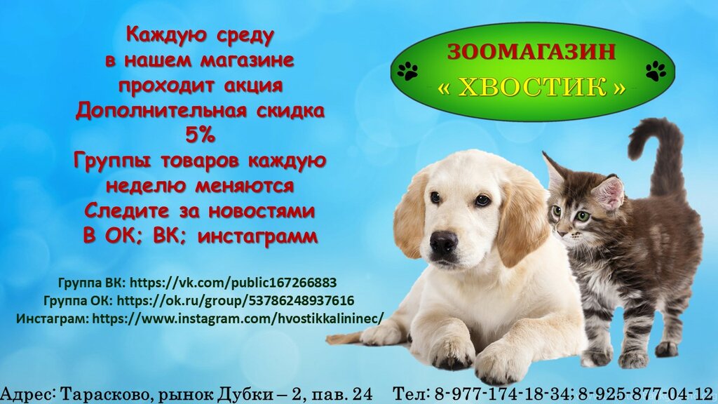 Petshop Хвостик, Moskova ve Moskovskaya oblastı, foto