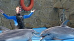 Dolphinarium (Shmidta Street No:16/1), yunus havuzları  Yeysk'ten