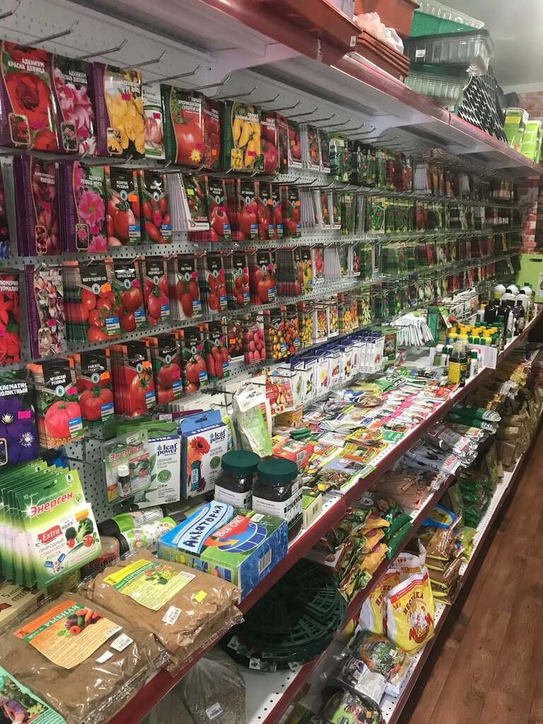 Tohum satan yerler Наша дача, Dalnegorsk, foto
