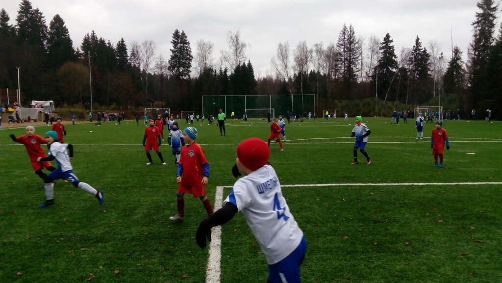 Spor alanı Футбольное поле, Moskova ve Moskovskaya oblastı, foto