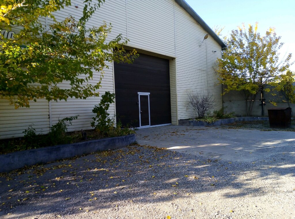 Market Elegans, Astrahan, foto