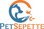 PetSepette (İstanbul, Maltepe, Zümrütevler Mah., Nil Cad., 26/1B), evcil hayvanlar için ürünler  İstanbul'dan