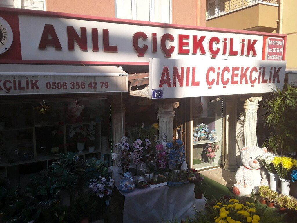 Çiçekçiler Anıl Çiçekçilik, Ankara, foto