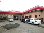 Авто-ателье (Bukhara), oto döşeme  Buhara'dan