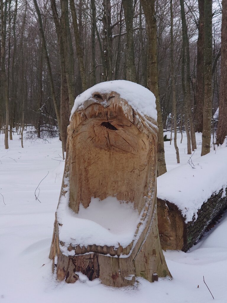 Park, sokak heykeli Трон дракон, Saint‑Petersburg ve Leningradskaya oblastı, foto