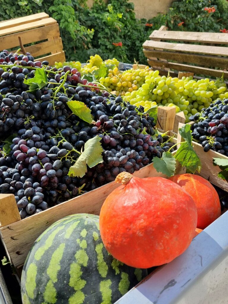 Tarım firmaları Spasibenko, Krasnodarski krayı, foto