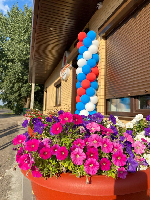 Market Помидоркин, Rostovskaya oblastı, foto