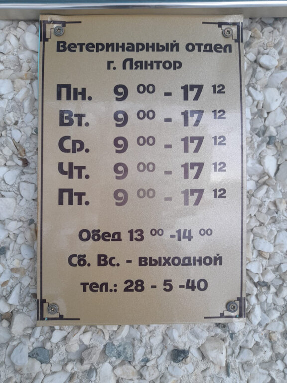 Veteriner klinikleri Bu KhMAO-Yugry Surgutsky rayonny veterinarny tsentr, Liantor, foto