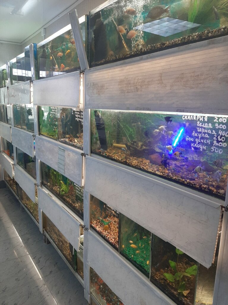 Petshop Зоотовары, Gus‑Hrustalny, foto