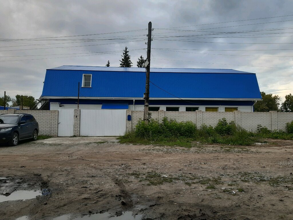 Besin takviyesi, aktariye Алтай Эко Продукт, Altayski krayı, foto