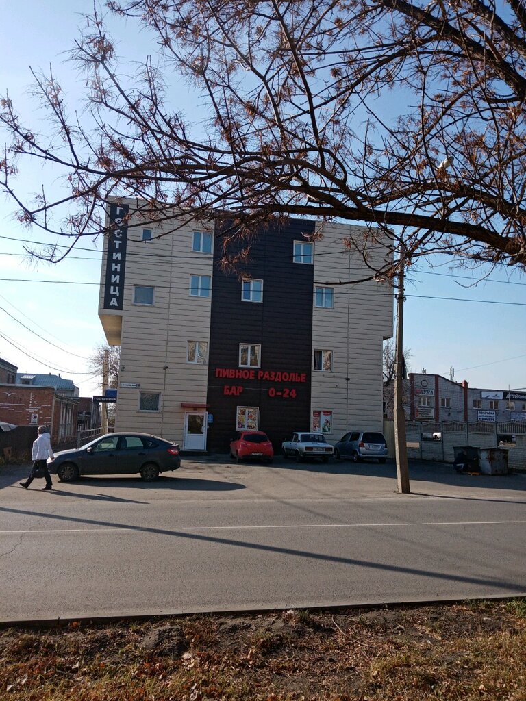 Bar Пивное раздолье, Barnaul, foto