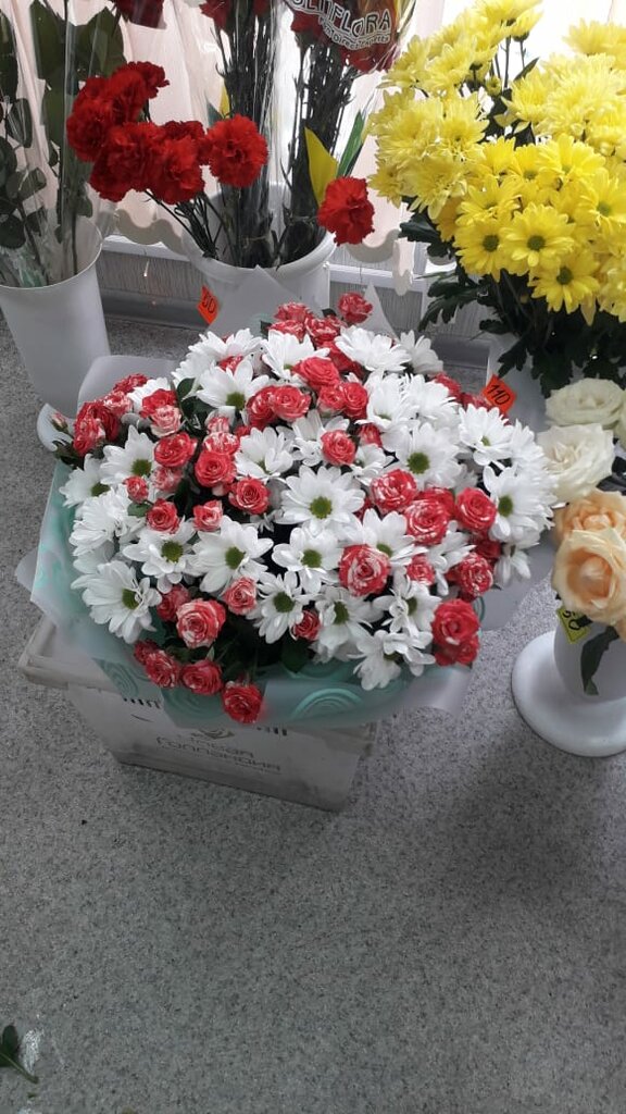 Çiçekçiler Цветы, Kamyşlov, foto