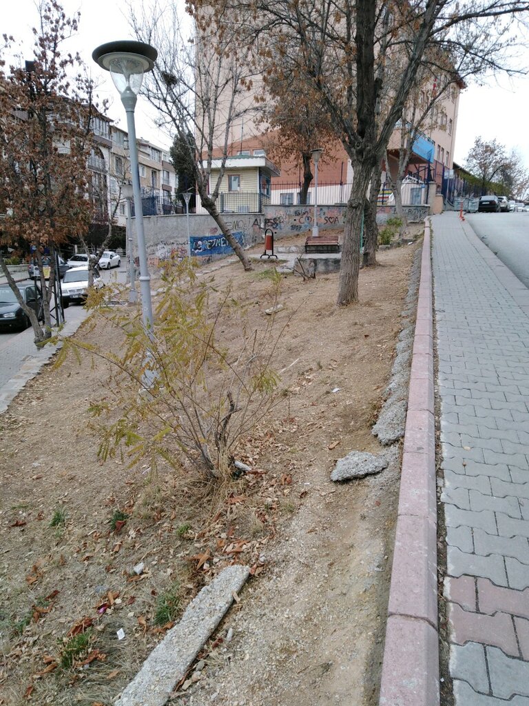 Parklar ve ormanlar Kubilay parkı, Ankara, foto