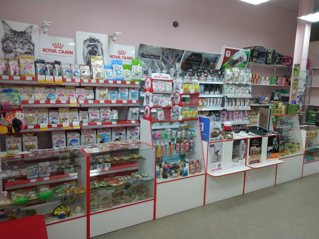 Petshop Кот и пес, Kirishi, foto