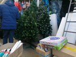 Елки (Fyodora Gladkova Street No:10к1), yapay çam ağaçları ve süsleri  Cheboksary'den